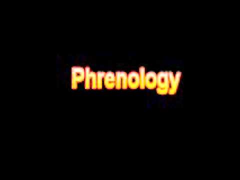 What Is The Definition Of Phrenology Medical School Terminology Dictionary