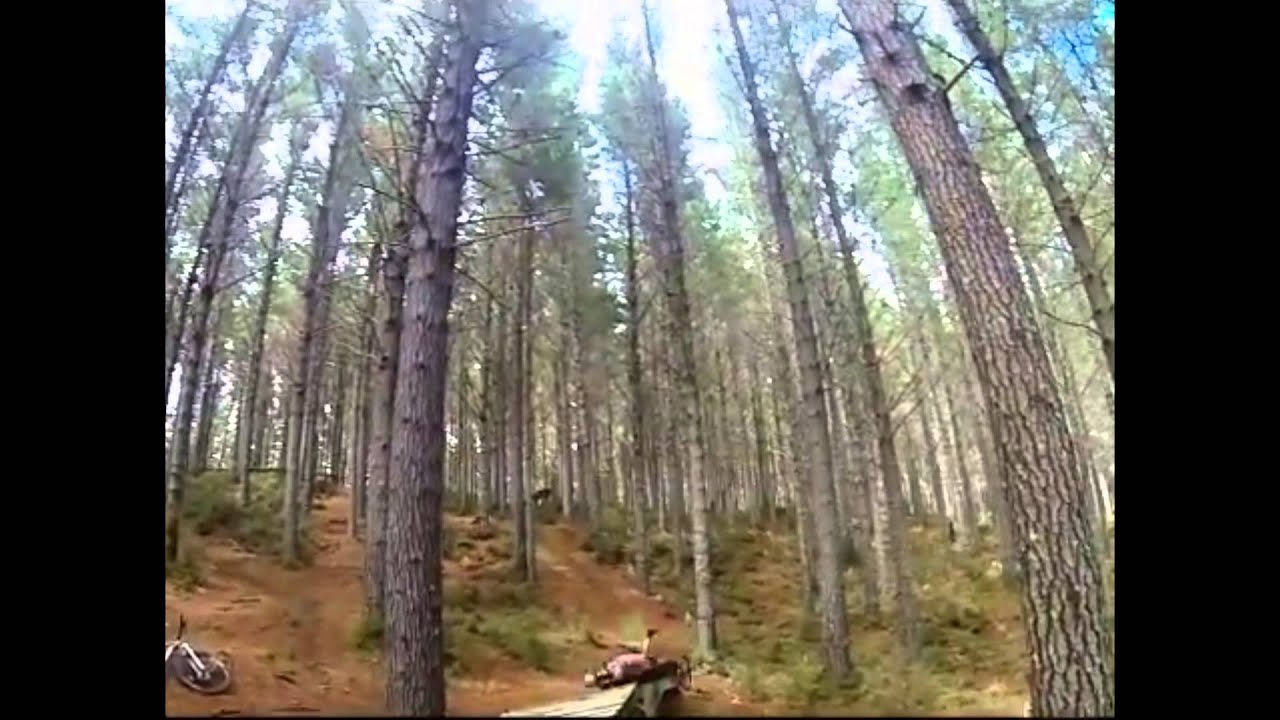 Bike Fails Compilation II