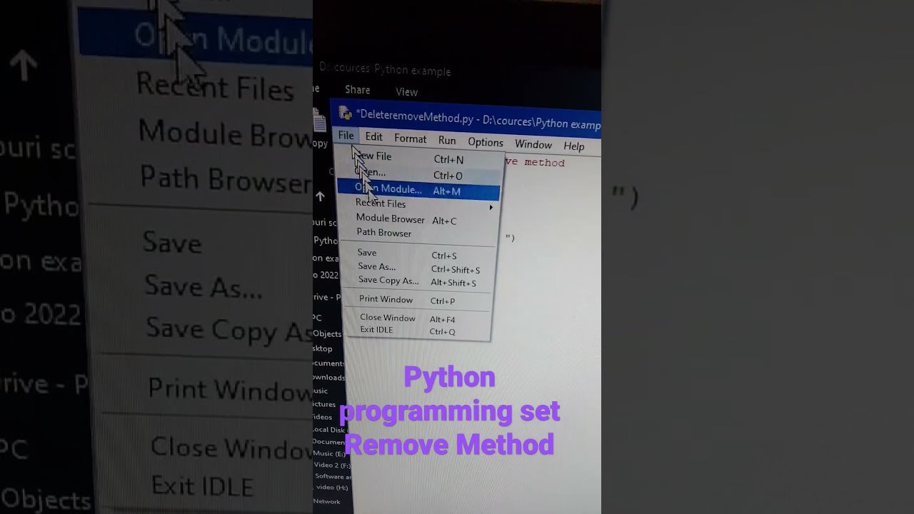 python programming set delete element remove method code example udahran