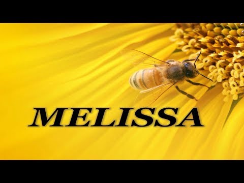 MELISSA! WHAT DO YOU MEAN?