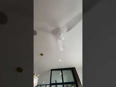 Haiku L series ceiling fans at a restaurant #ceilingfan #ceilingfans