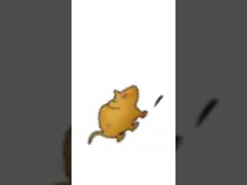 spinning rat xd