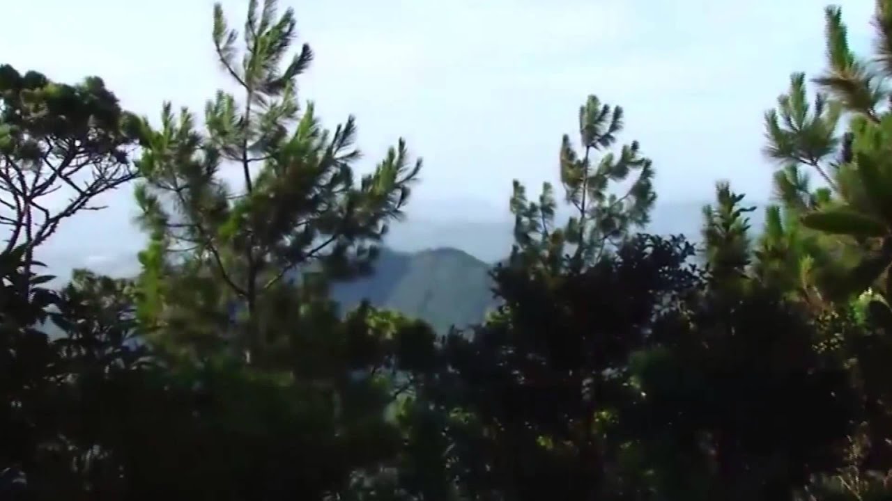 Nueva Reserva del Hombre y la Biosfera Cacique Lempira Señor de las Montañas