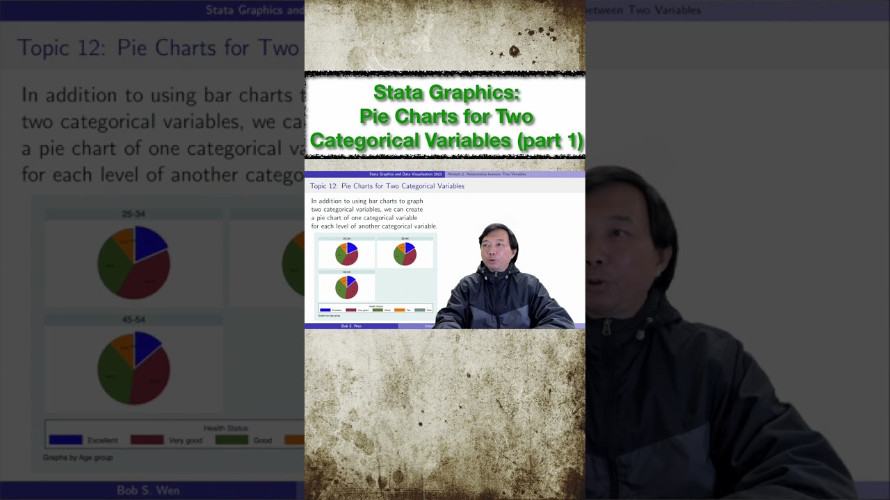 Pie Charts for Two Categorical Variables (part 1) | Stata Graphics