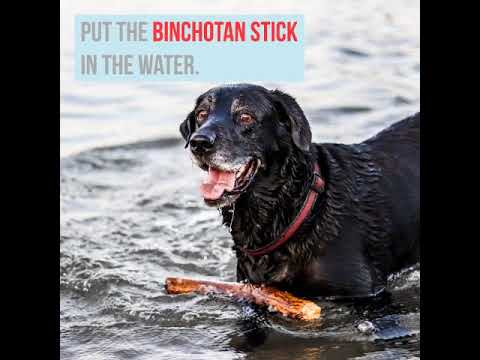 Does Binchotan Charcoal Work?