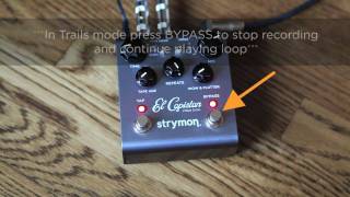 Strymon El Capistan dTape Echo - What To Know & Where To Buy | Equipboard