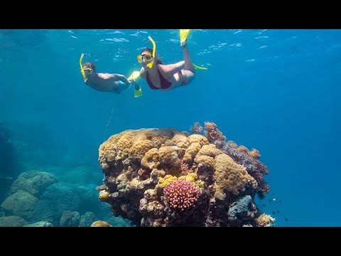CAIRNS, AUSTRALIA - TOP THINGS TO DO | NRMA Parks and Resorts