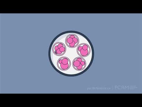 What is Preimplantation Genetic Testing? - PCRM Fertility Clinic