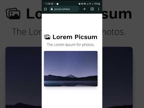 Random photo for website by lorem picsum #frontend #html #css #javascript