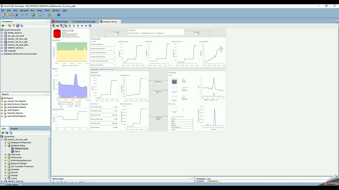 Oracle Instance Viewer in SQL Developer