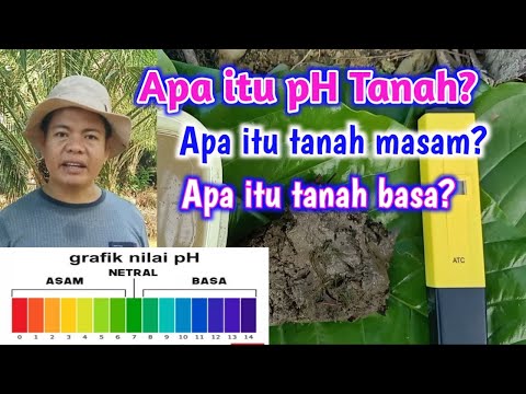 Apa Itu pH Tanah? Apa Itu Tanah Asam? Apa Itu Tanah Basa? Dibahas Tuntas Di Sini