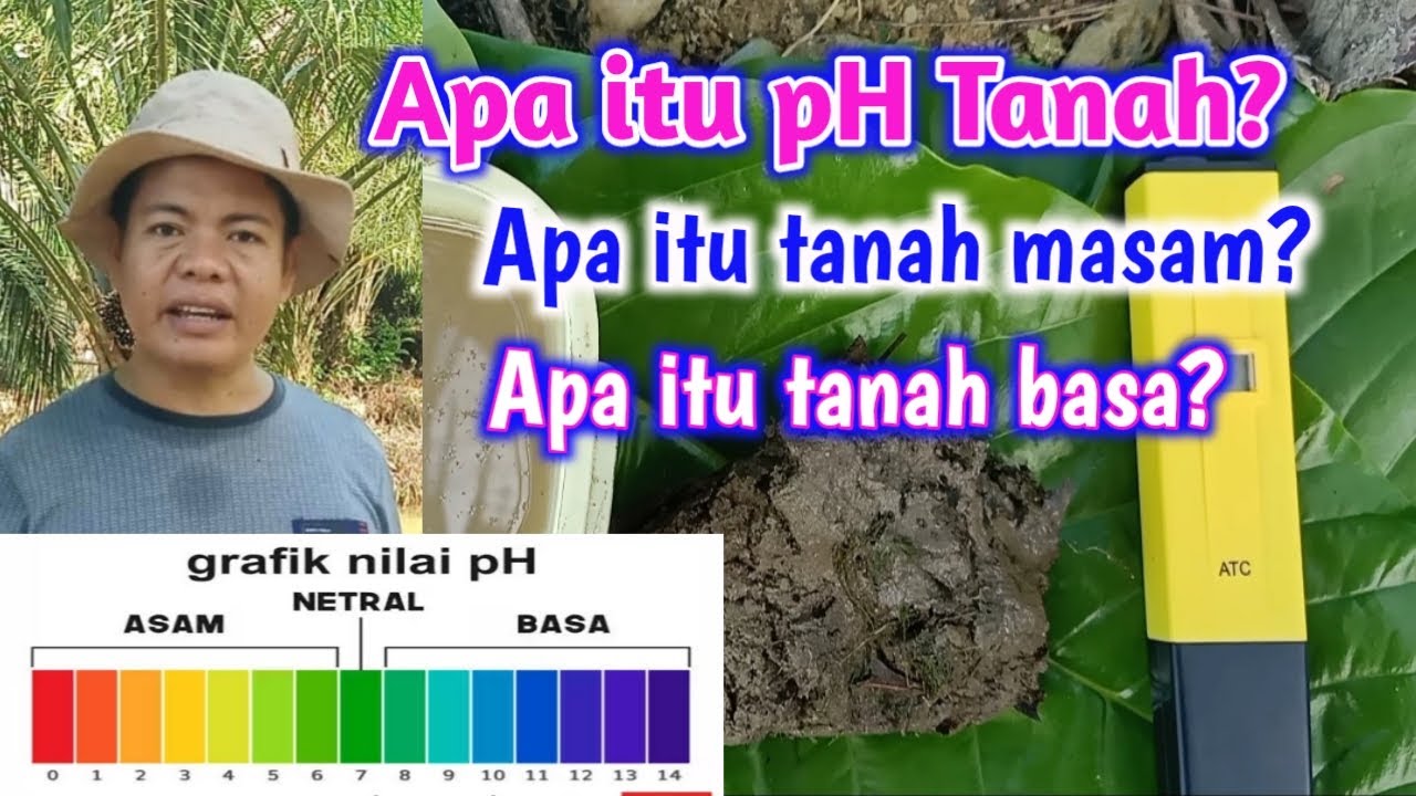 Apa Itu pH Tanah? Apa Itu Tanah Asam? Apa Itu Tanah Basa? Dibahas Tuntas Di Sini