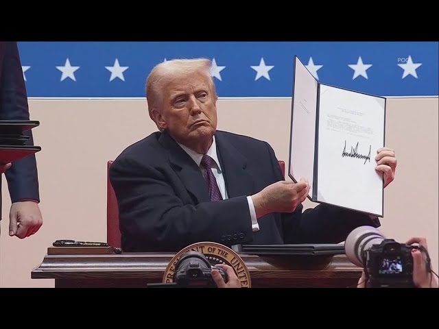 Understanding Executive Orders: Power, Limitations, and Implications ...