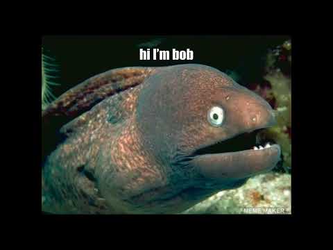 Funny meams that made me smile