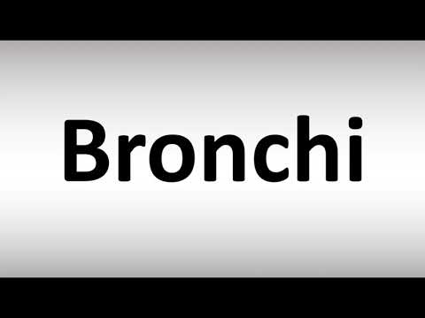 How to Pronounce Bronchi