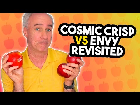 The New Cosmic Crisp Apple Is Long Lasting, but Is It Tasty and Healthy?