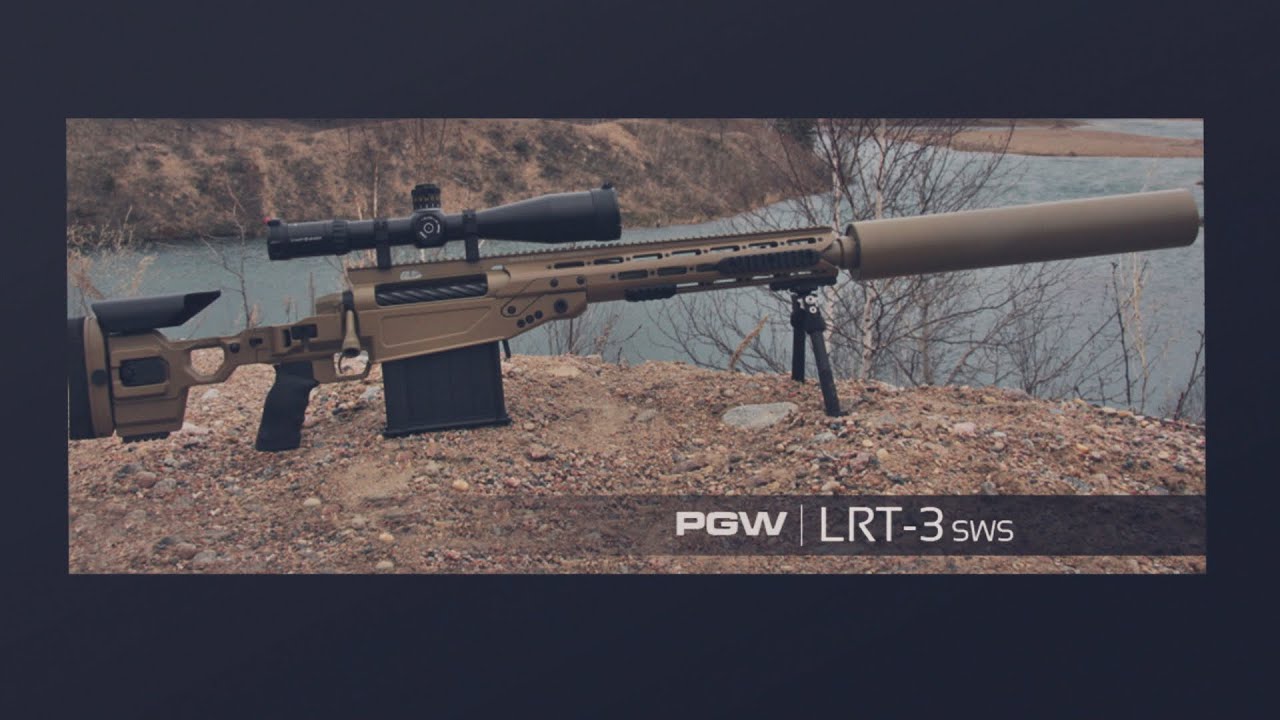 Canadian weapons fall into wrong hands