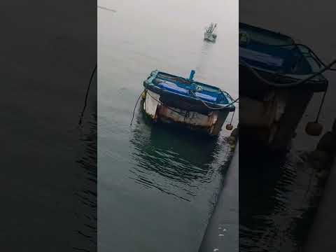 barcos de pesca 🚢 🚢 callao
