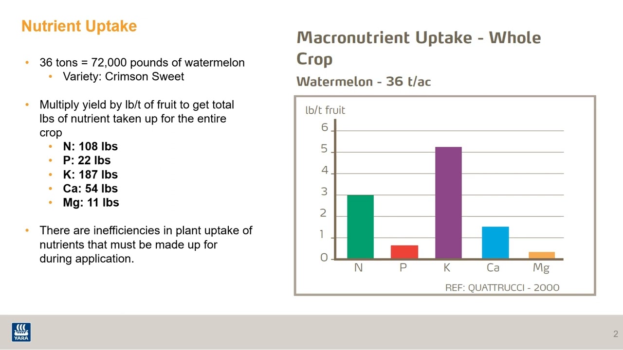 Watermelon Crop Nutrition Needs