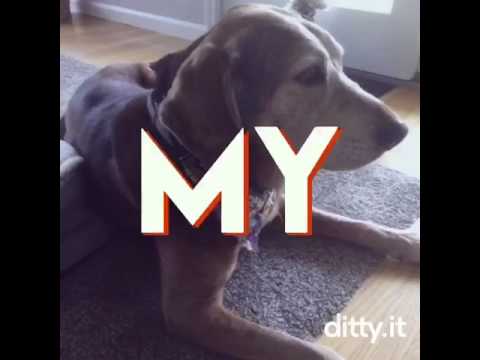 Ditty App for Vocabulary