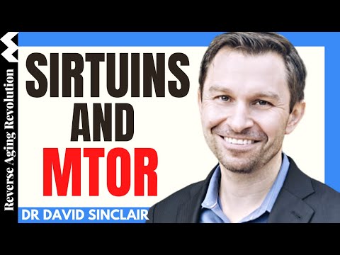 HOW mTOR And Sirtuins Impact Our Longevity | Dr David Sinclair Interview Clips