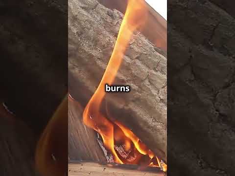 From oak to cedar, discover how these woods burn and which to avoid! #FirewoodTips #LogBurner #DIY
