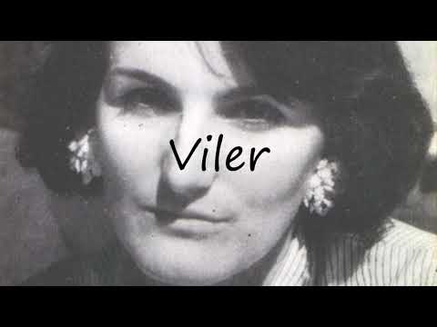 How to Pronounce Viler?
