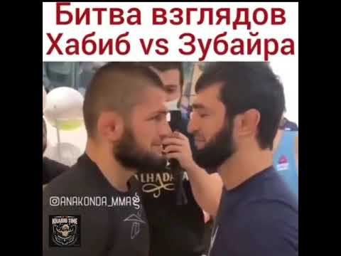 khabib nurmagomedov vs zubaira tukhugov face off