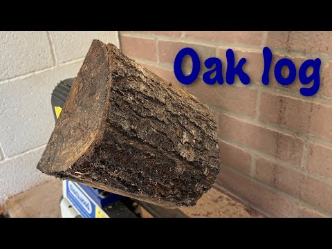 Ugly Log to Oak Bowl - Wood turning