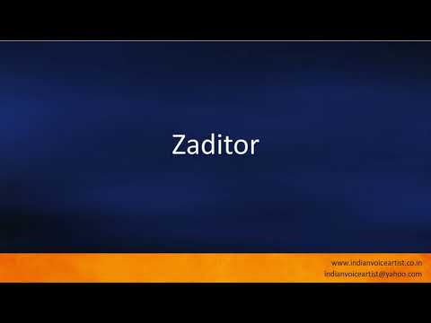 Pronunciation of the word(s) "Zaditor".