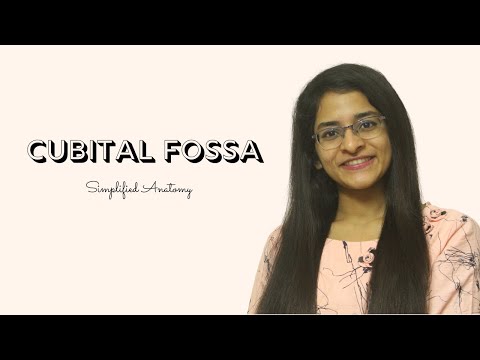 CUBITAL FOSSA | ANATOMY | SIMPLIFIED