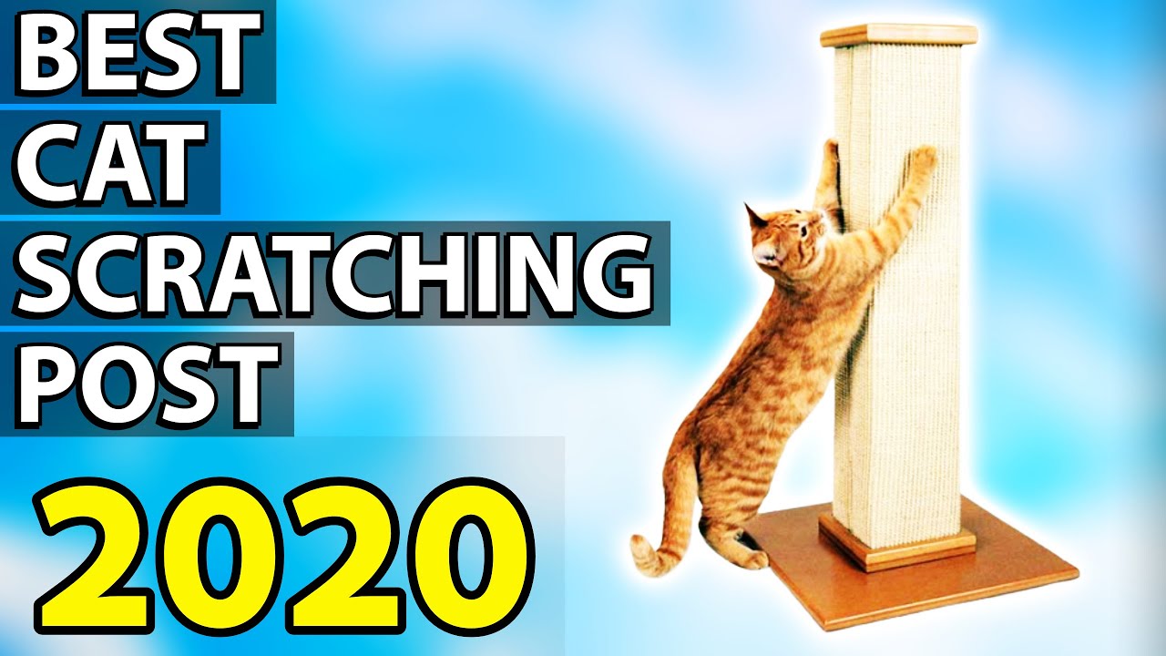 ✅ TOP 5: Best Cat Scratching Post 2020