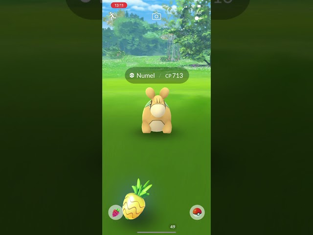 Numel Pokémon: How to catch, Stats, Moves, Strength, Weakness, Trivia, FAQs