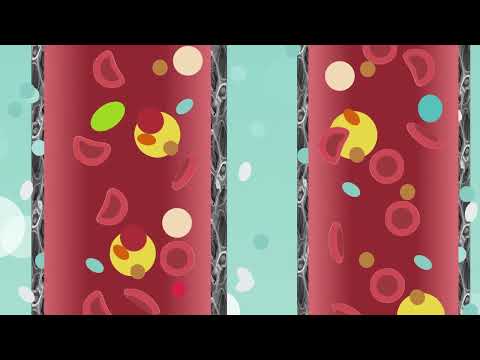 Membrane Series: The Dialysis Membrane (I) - The Site of Detoxification