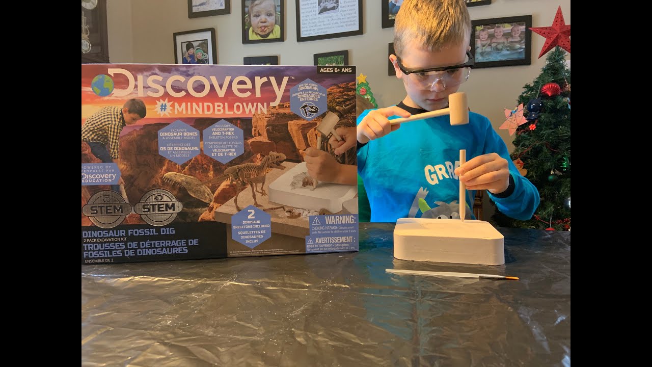 Discovery - Dinosaur Fossil Dig
