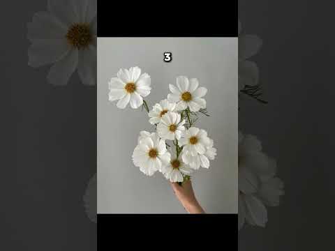 Which white flower is she picking? #shorts