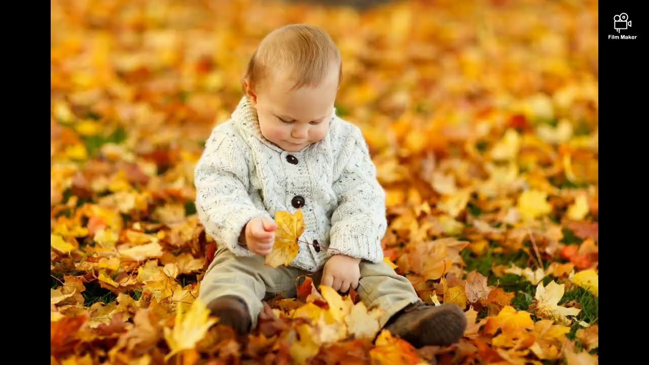 An Autumn poem   Leaves by Elise N Brady