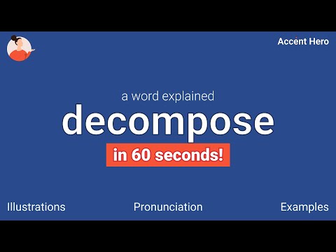 DECOMPOSE - Meaning and Pronunciation