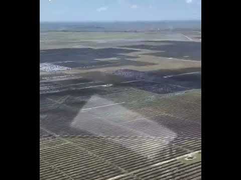 Hail Destroyed Solar Farm in Texas – Insomniac Resurrected