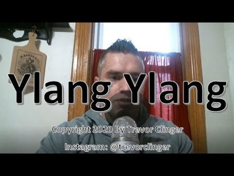 How To Pronounce Ylang Ylang