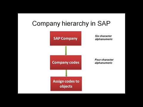Company and company codes in SAP