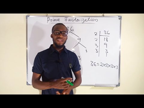 Prime Factorization