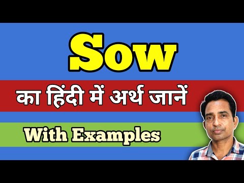 Sow Meaning In Hindi | Daily English Words | English Vocabulary Words | English Word Meaning