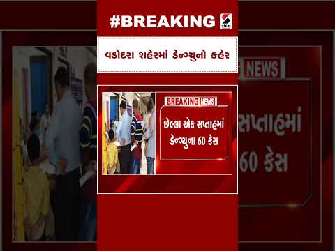 Breaking News : વડોદરા શહેરમાં ડેન્ગ્યુનો કહેર | Vadodara Dengue Cases Increase | Gujarati News
