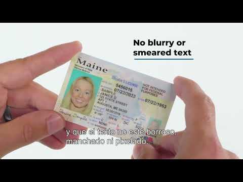 Guide to Checking IDs (Spanish Subtitles)