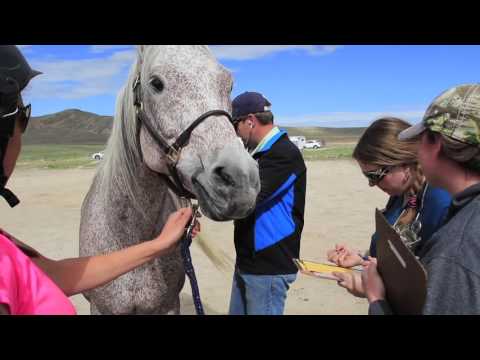 Veterinary Medicine at Utah State University