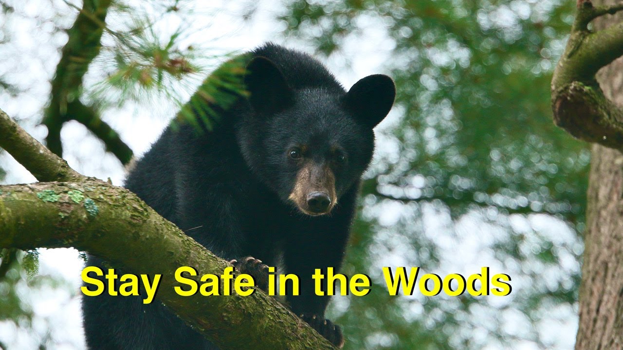 Non Lethal Self Defense Non Lethal Security Solutions