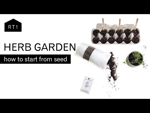HOW TO START AN INDOOR HERB GARDEN FROM SEED