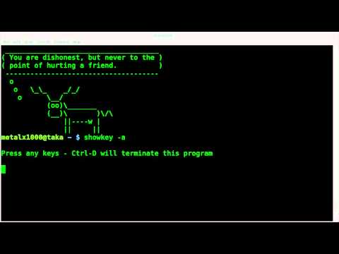 Find the Decimal - Octal - Hex values of ASCII keys - BASH -Linux