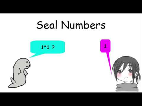 Seal numbers – Xoxelho